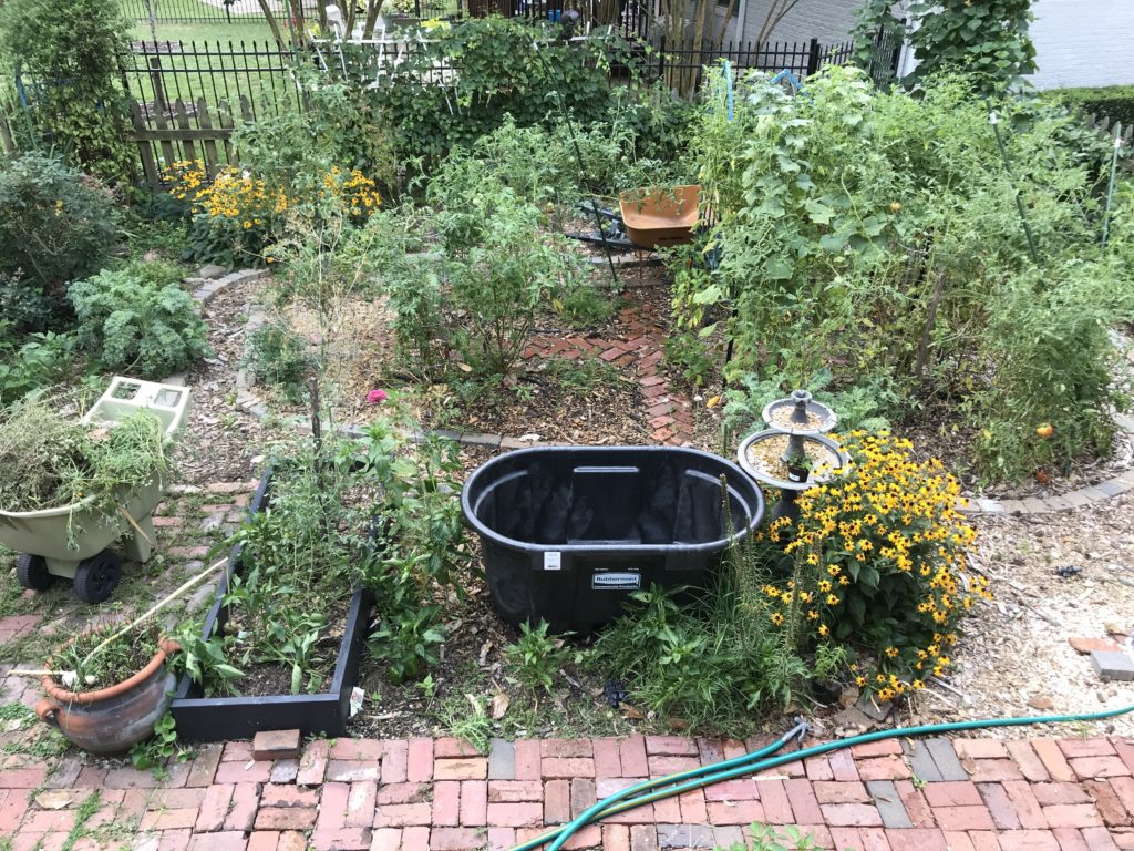 DIY Backyard Fish Pond - Love Sown Garden
