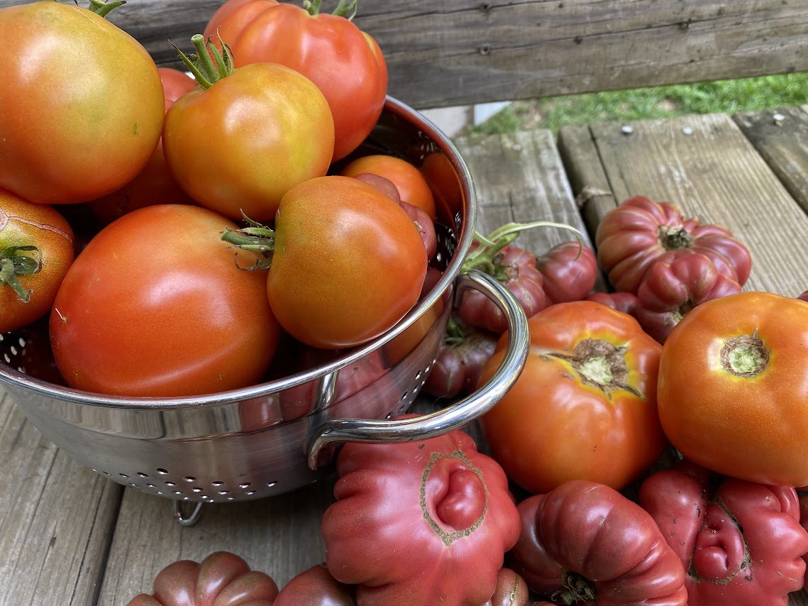 Essential Garden Edibles - Love Sown Garden