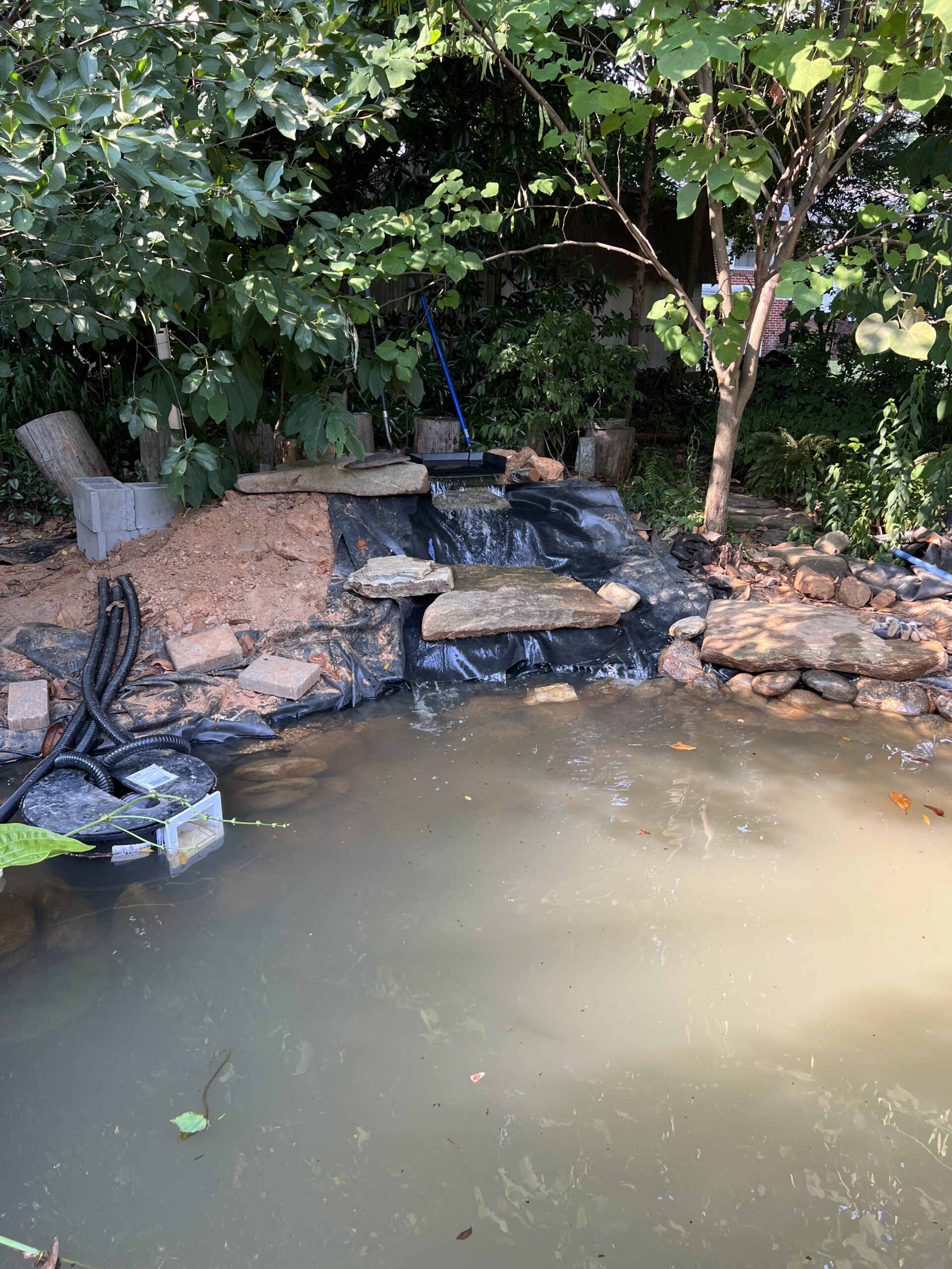 The Big Dig – Building Our Backyard Pond - Love Sown Garden