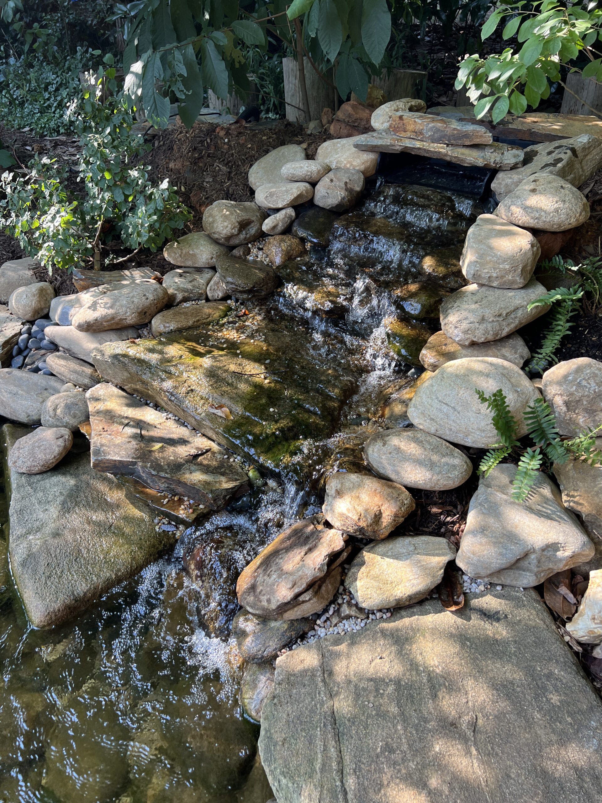 The Big Dig – Building Our Backyard Pond - Love Sown Garden